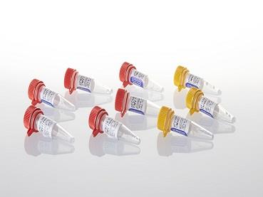 HaloTag® Flexi® Vectors - CMV Deletion Series Sample Pack（G3780）